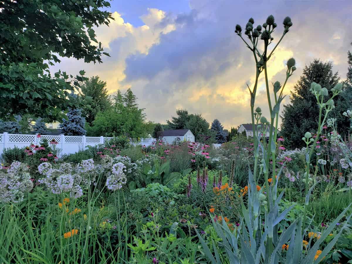 Pollinator Gardens - Lifestyle Landscaping