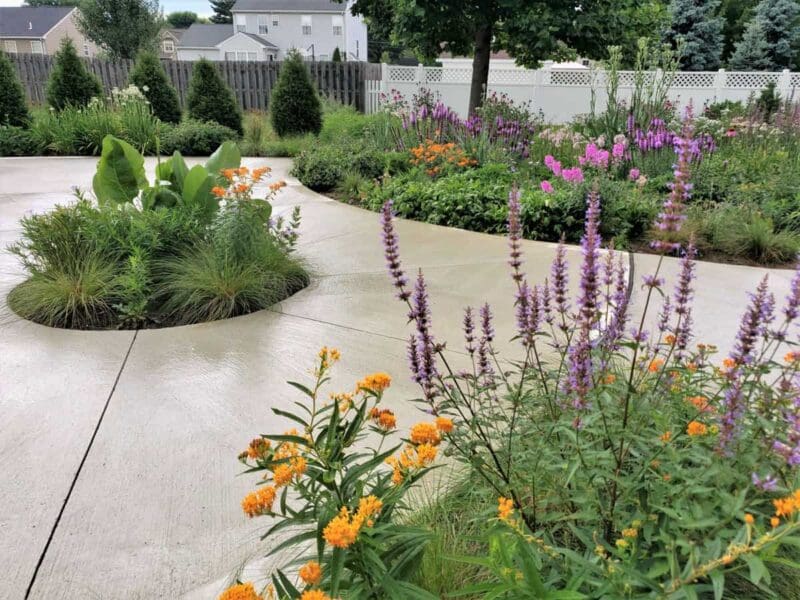 Pollinator Gardens - Lifestyle Landscaping