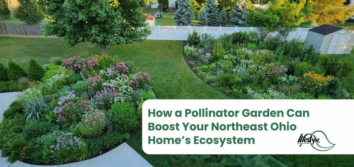 How a Pollinator Garden Can Boost Your Northeast Ohio Home’s Ecosystem ...