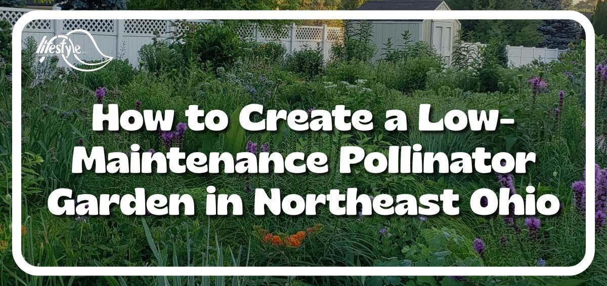 How to Create a Low-Maintenance Pollinator Garden in NE Ohio ...