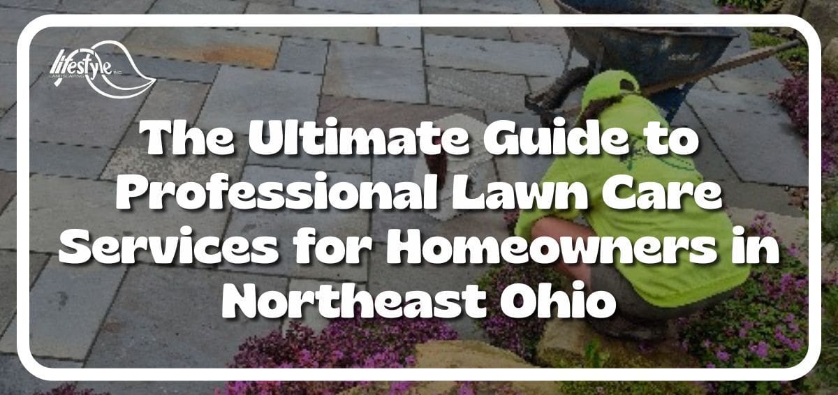 Homeowner's Ultimate Guide to Professional Lawn Care Services ...